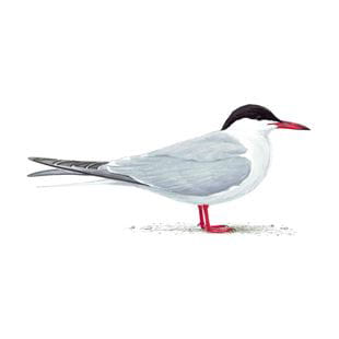 Fact 1 - Weymouth Trails