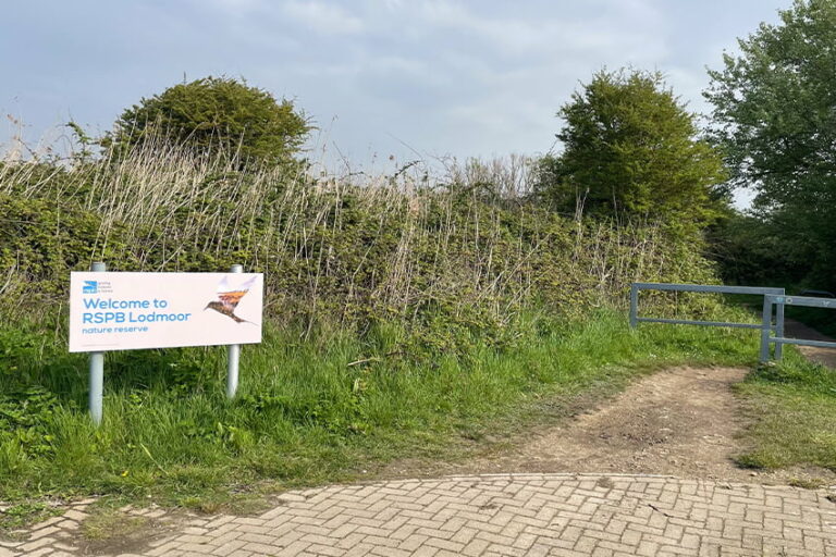 RSPB Radipole - Weymouth Trails